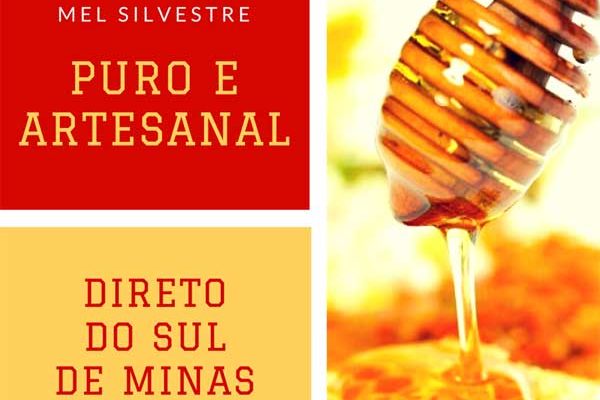 Mel Puro de Minas Gerais Descubra Curiosidades - Blog Lojinha Uai